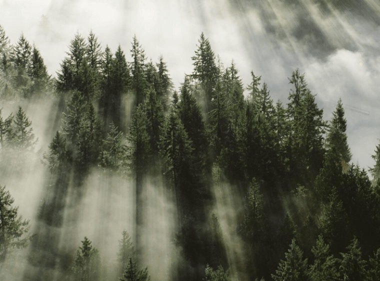 Why is FSC certification important?